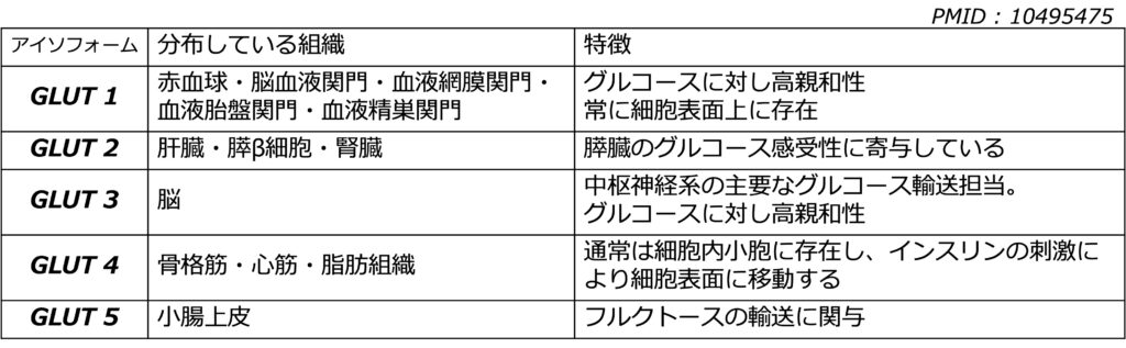 GLUTとSGLT グルコーストランスポーター | 栄養管理大好きブログ